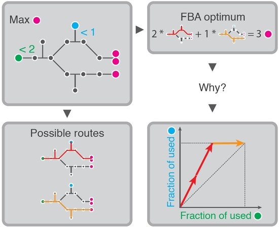Metabolites | Free Full-Text | Understanding FBA Solutions under ...