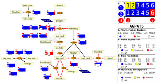 IDARE2—Simultaneous Visualisation of Multiomics Data in Cytoscape