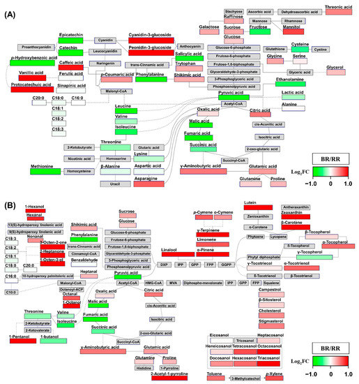 Metabolite Profiling Reveals Distinct Modulation of Complex Metabolic ...