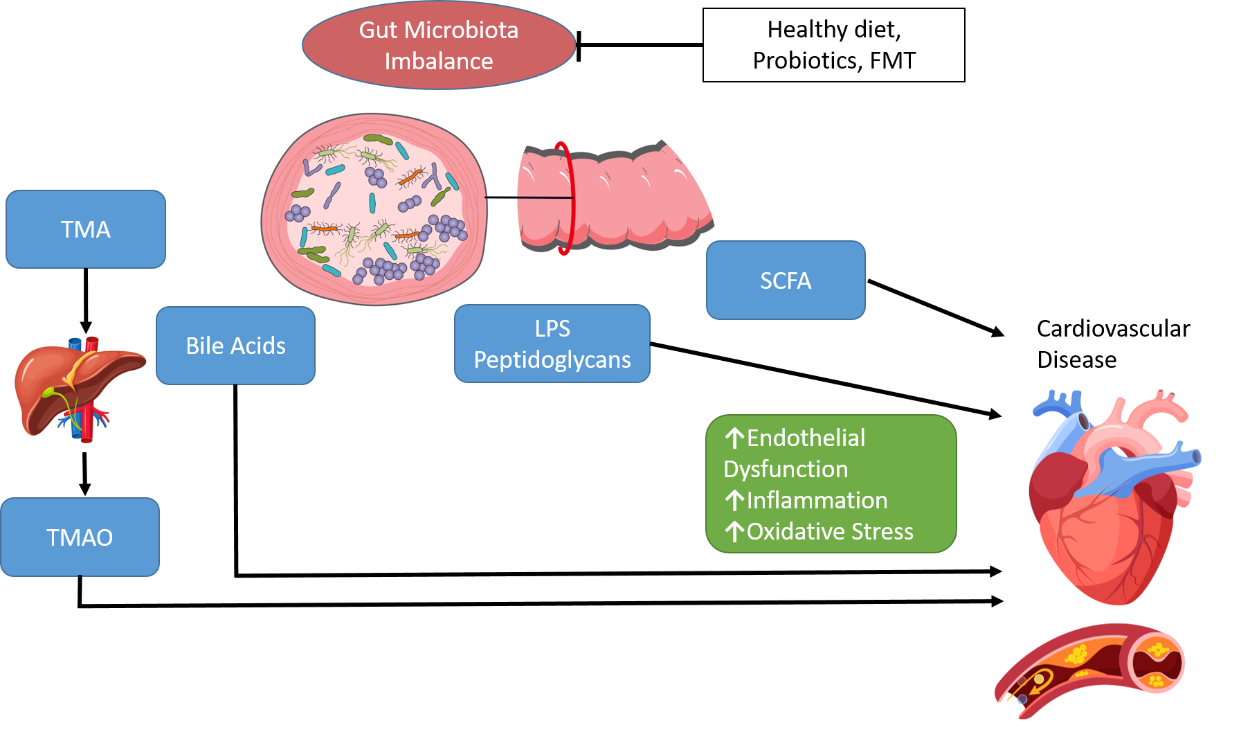 Metabolites | Free Full-Text | Exploring the Gut Microbiota and ...