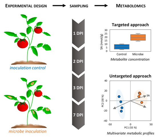 Unravelling Plant Responses to Stress—The Importance of Targeted and ...