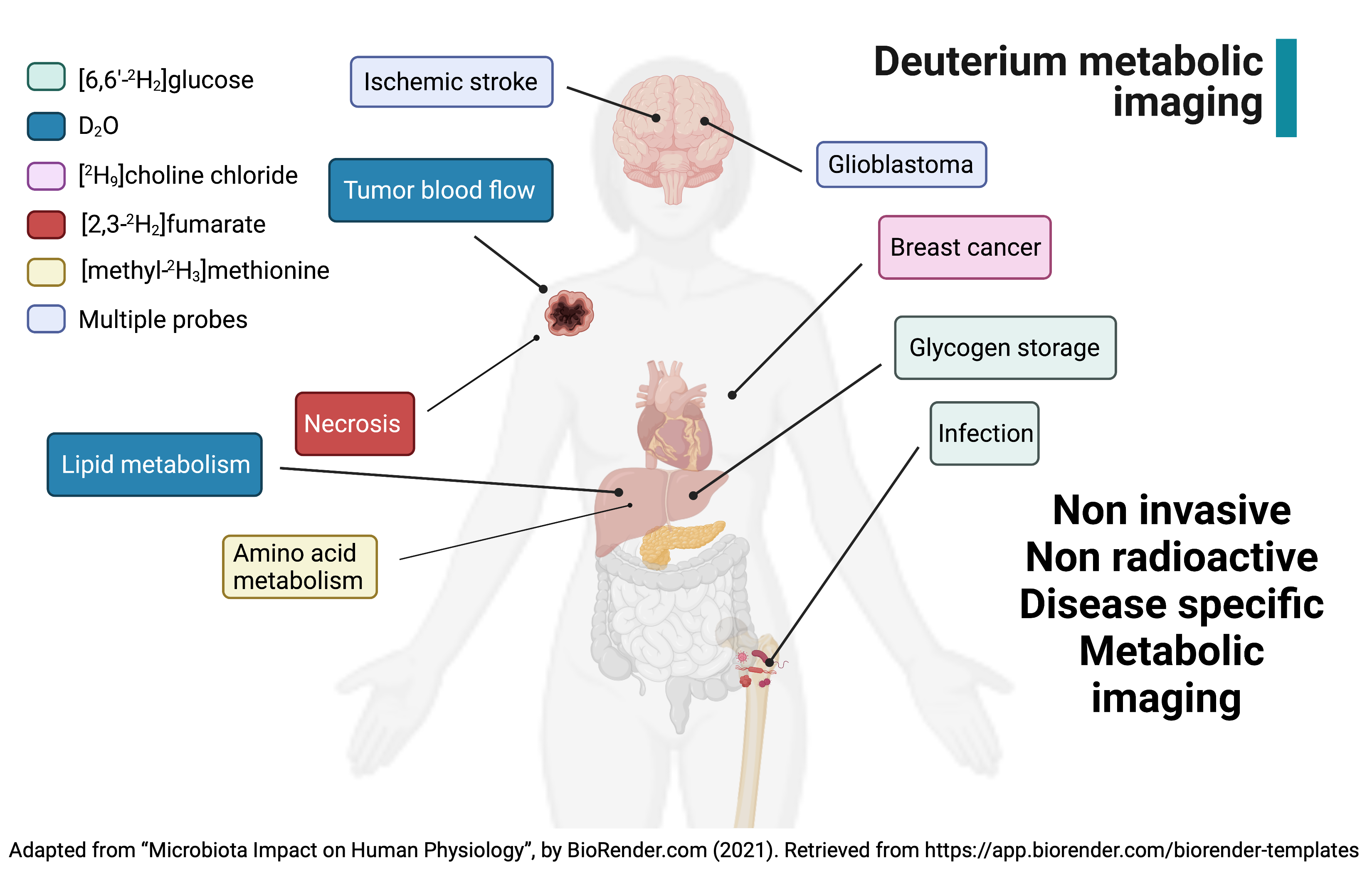 Metabolites | Free Full-Text | Deuterium Metabolic Imaging—Rediscovery ...