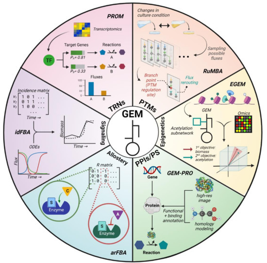 Next-Generation Genome-Scale Metabolic Modeling through Integration of ...