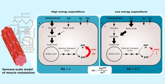Metabolites | Special Issue : Genome-Scale Metabolic Models