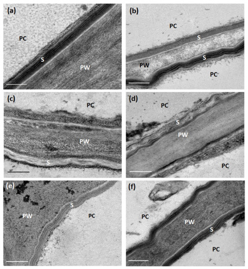 Metabolites | Free Full-Text | Root Suberin Plays Important Roles in ...