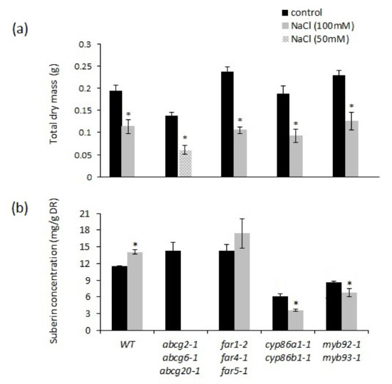 Metabolites | Free Full-Text | Root Suberin Plays Important Roles in ...