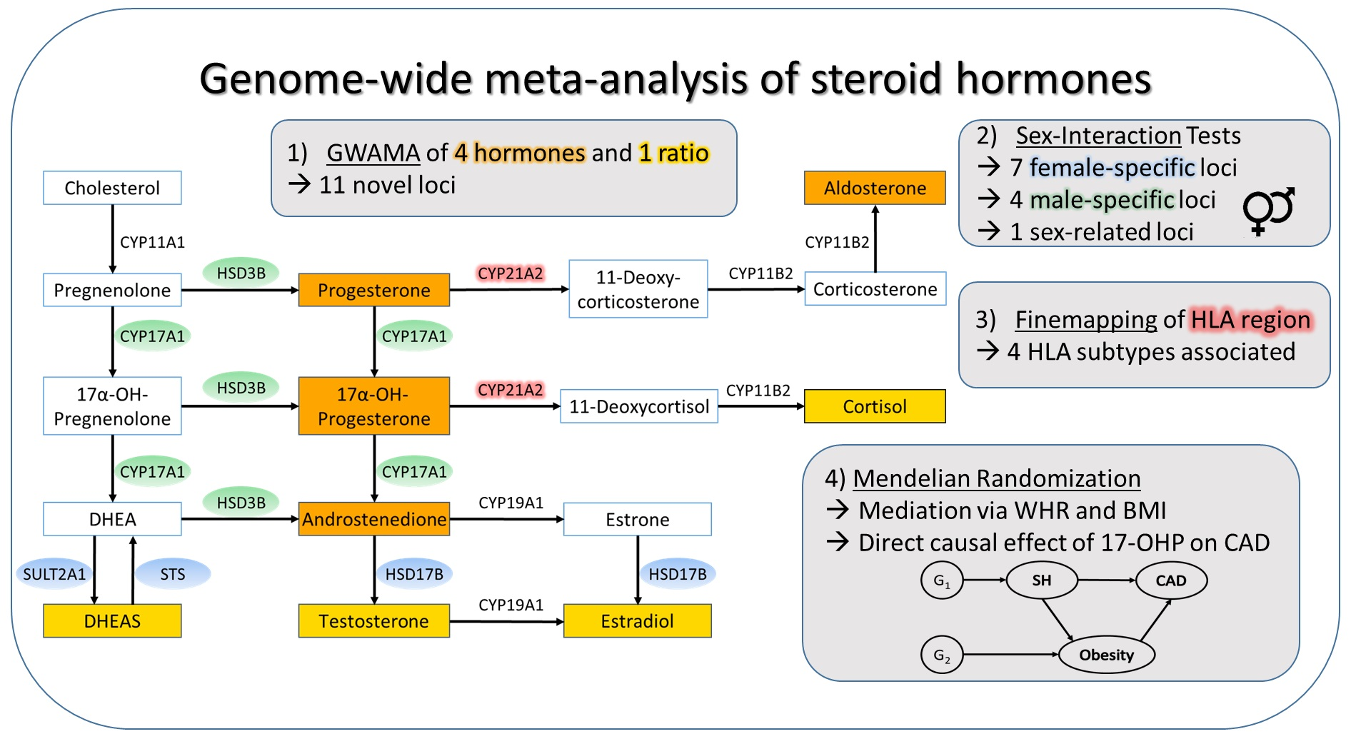 Metabolites Free Full Text Sex Specific Causal Relations Between