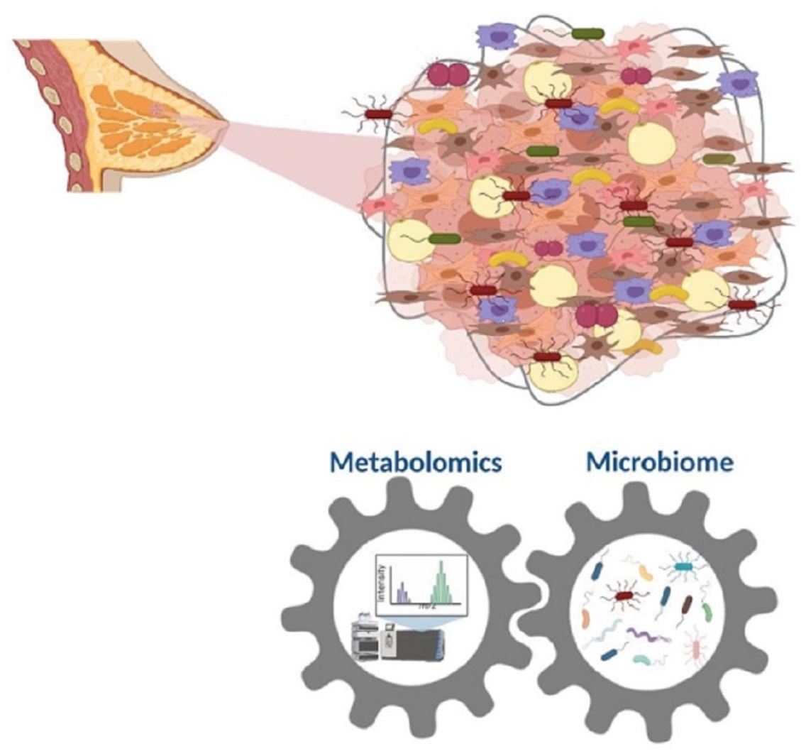 Metabolites | Free Full-Text | Metabolomics-Microbiome Crosstalk in the ...