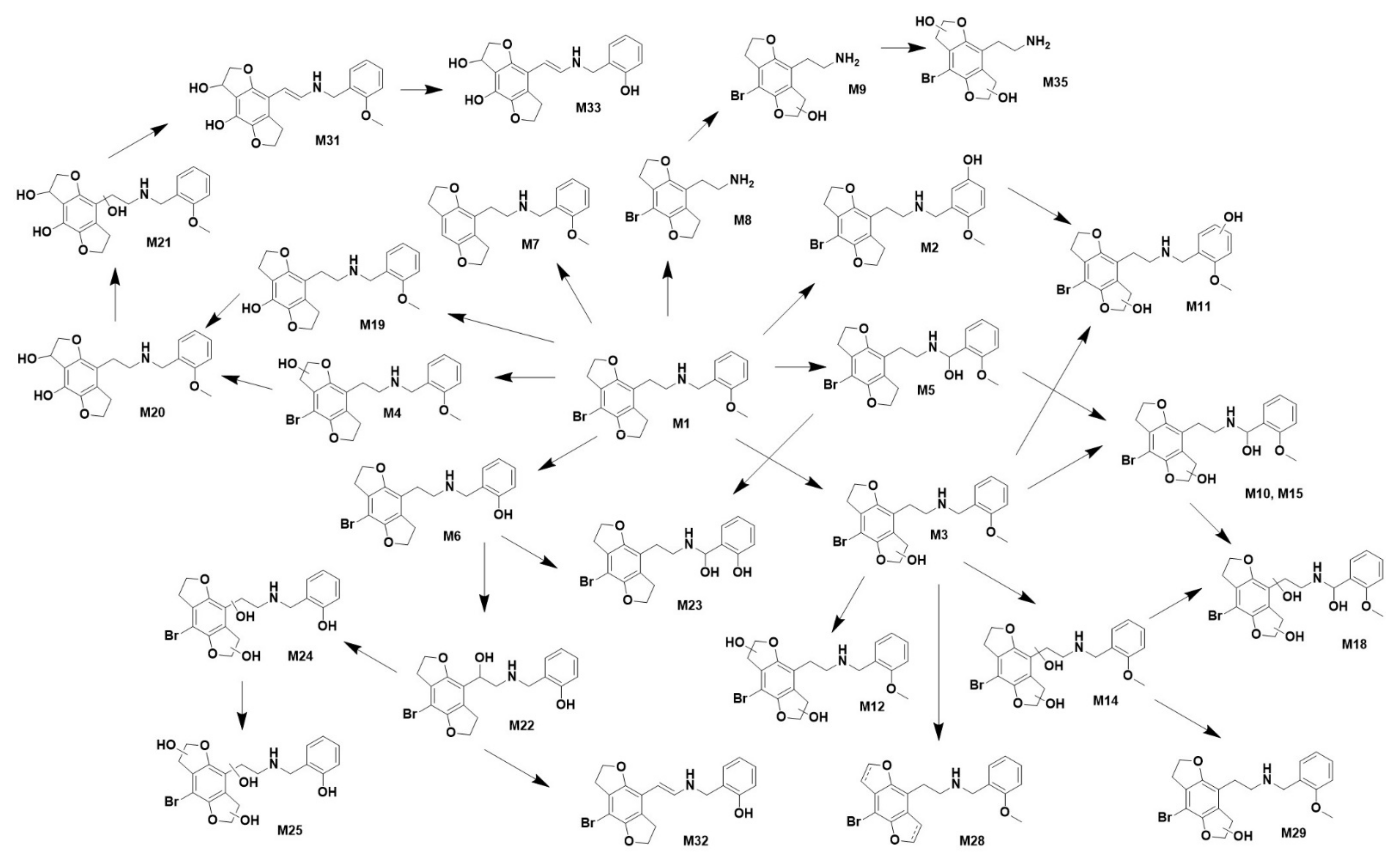 Metabolites | Free Full-Text | 2C-B-Fly-NBOMe Metabolites in Rat Urine ...