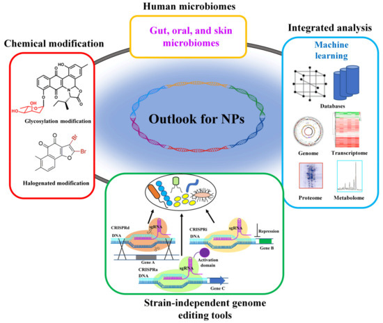 Synthetic Biology Advanced Natural Product Discovery