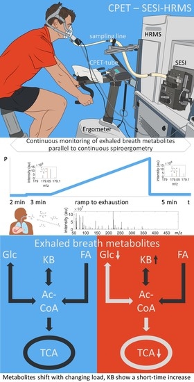 Metabolites | Free Full-Text | Real-Time Monitoring of Metabolism ...