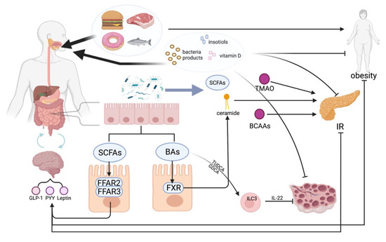 Metabolic Syndrome and PCOS: Pathogenesis and the Role of Metabolites