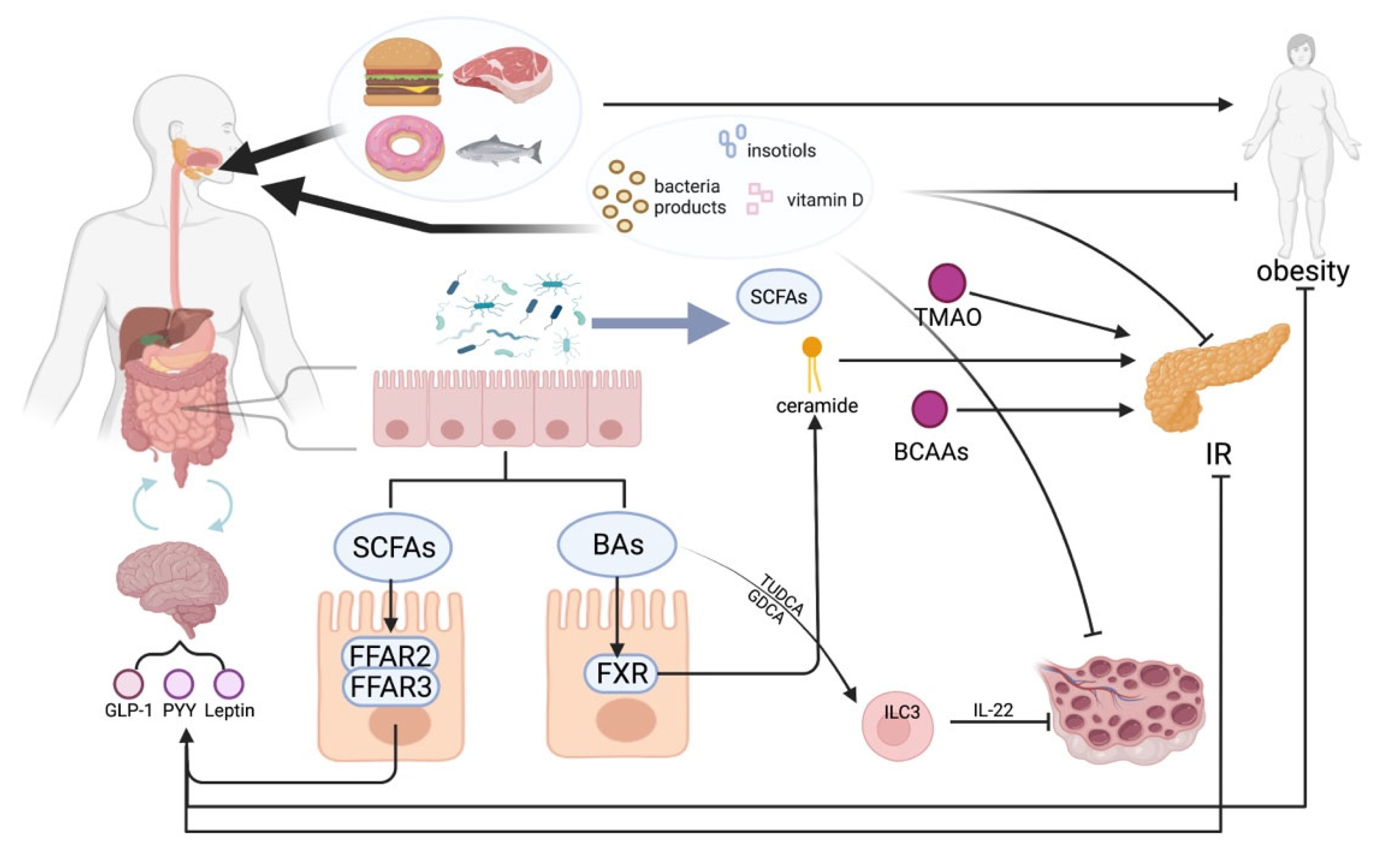 Metabolites Free Full Text Metabolic Syndrome And Pcos
