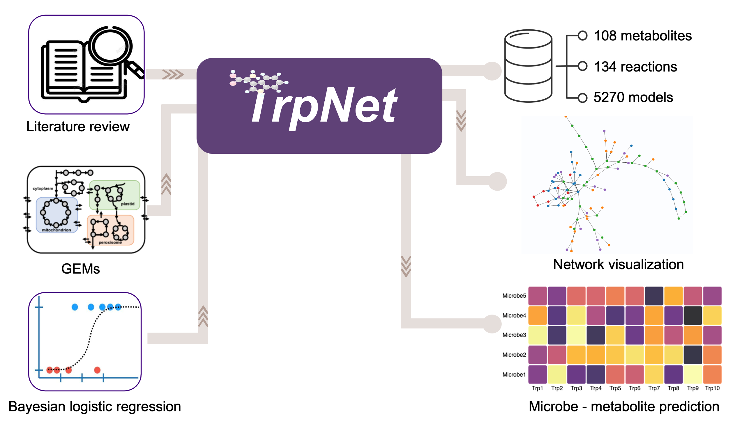 Metabolites | Free Full-Text | TrpNet: Understanding Tryptophan ...