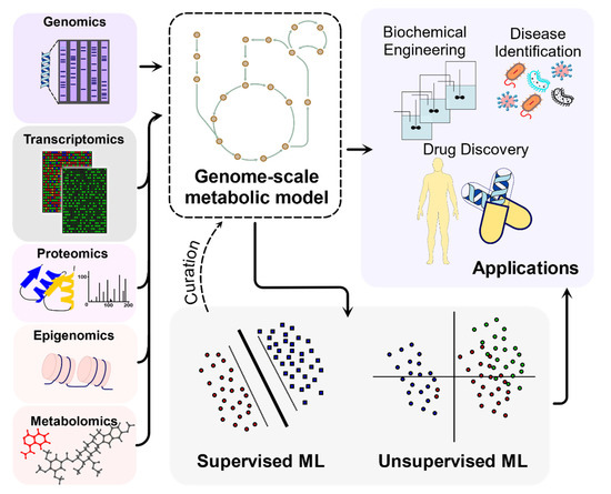 Metabolites Free Full Text Genome Scale Metabolic Modeling Enables
