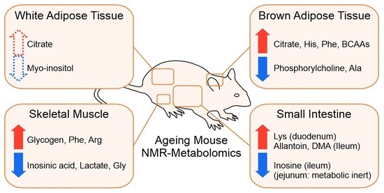 Metabolites | Free Full-Text | Metabolomic Profiles of Mouse Tissues ...