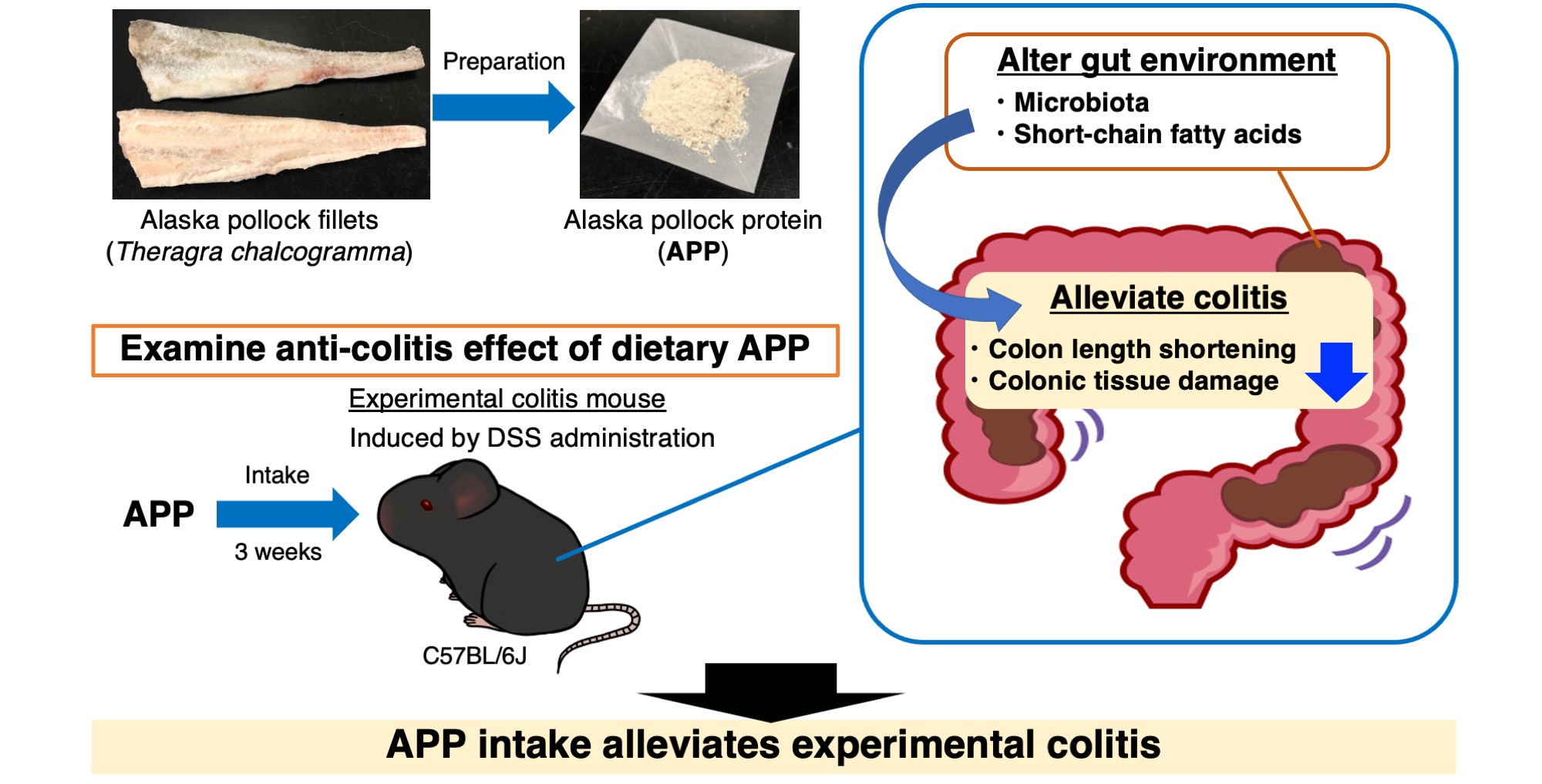 Metabolites | Free Full-Text | Dietary Alaska Pollock Protein ...