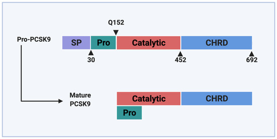 Metabolites | Free Full-Text | The Emerging Roles of Intracellular ...