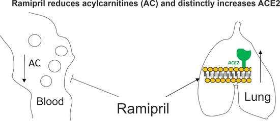 Metabolites | Free Full-Text | Ramipril Reduces Acylcarnitines and ...