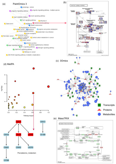 Guide to Metabolomics Analysis: A Bioinformatics Workflow