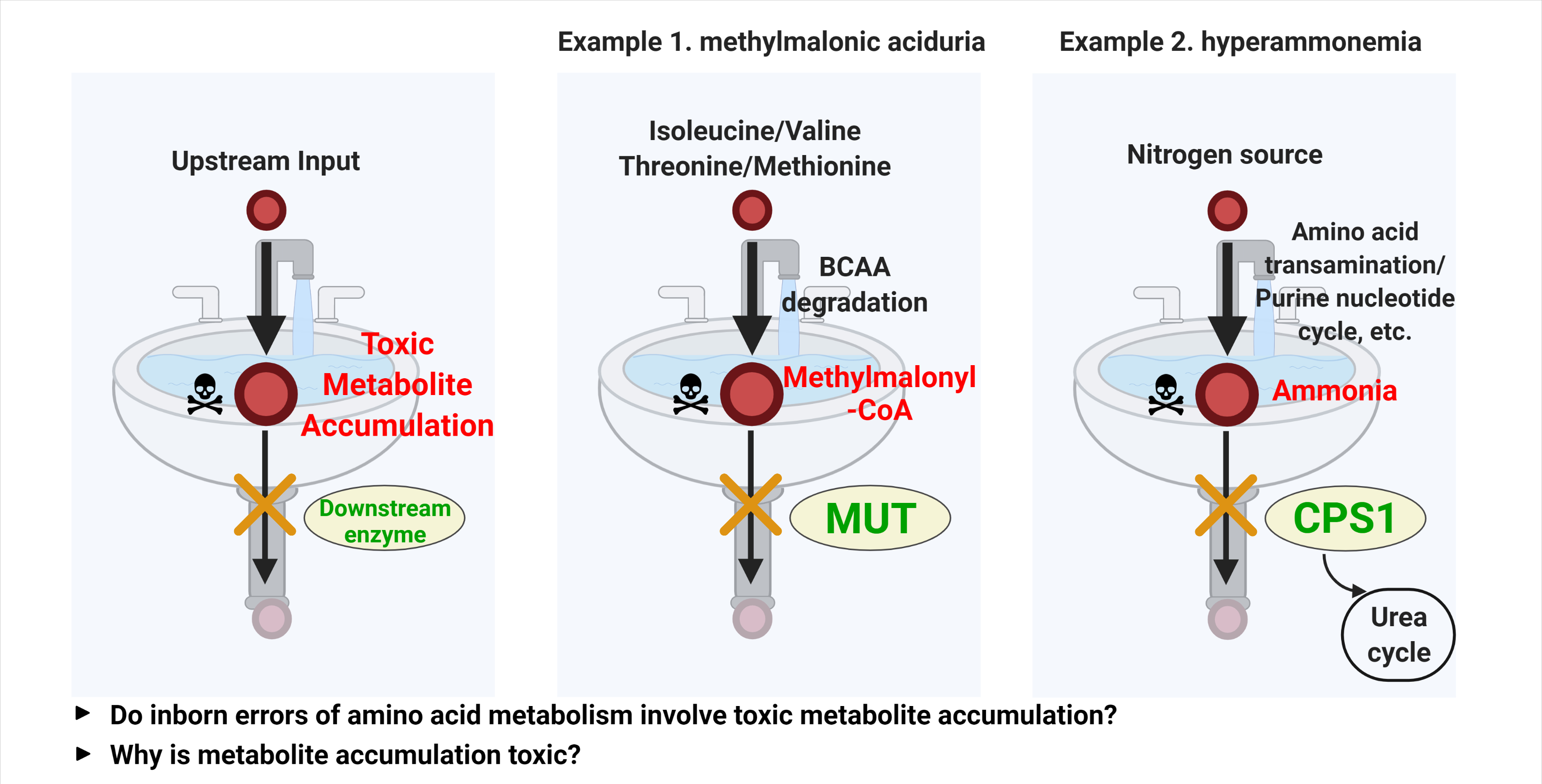 Metabolites | Free Full-Text | Toxic Metabolites and Inborn Errors of ...