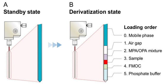 In-Needle Pre-Column Derivatization for Amino Acid Quantification (iPDAQ) Using HPLC