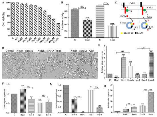 Rutin Potentially Binds the Gamma Secretase Catalytic Site, Down ...