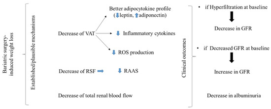 Metabolites Free Full Text The Beneficial Effects Of Bariatric