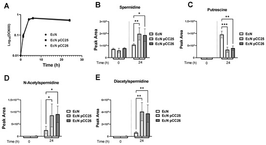 Bioengineering of Escherichia coli Nissle 1917 for Production and Excretion of Spermidine, a Key ...