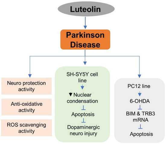 Recent Updates on Source, Biosynthesis, and Therapeutic Potential of ...