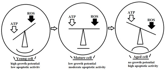 Therapeutic Stimulation of Glycolytic ATP Production for Treating ROS ...