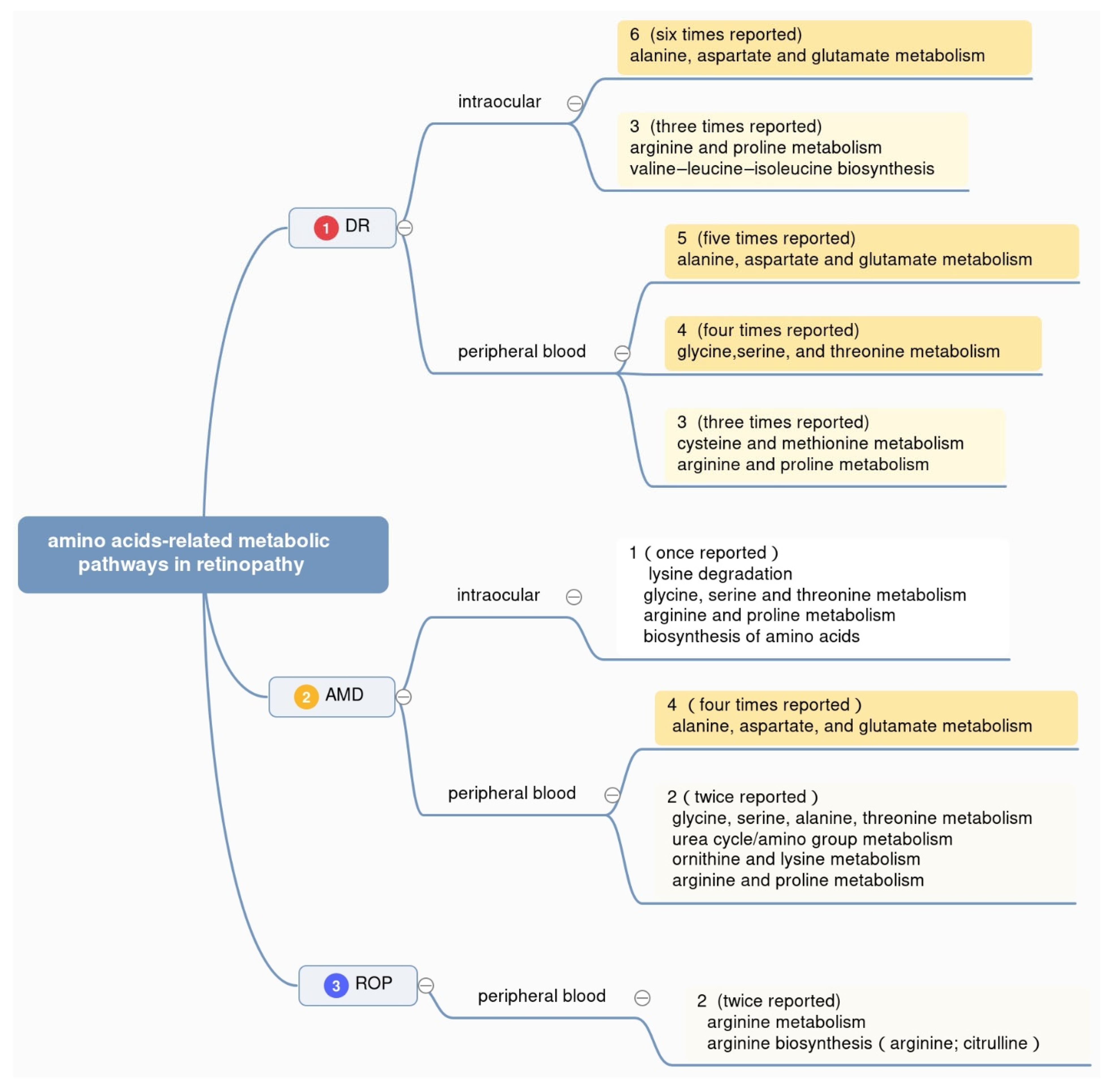 Amino Acids Metabolism in Retinopathy: From Clinical and Basic Research ...