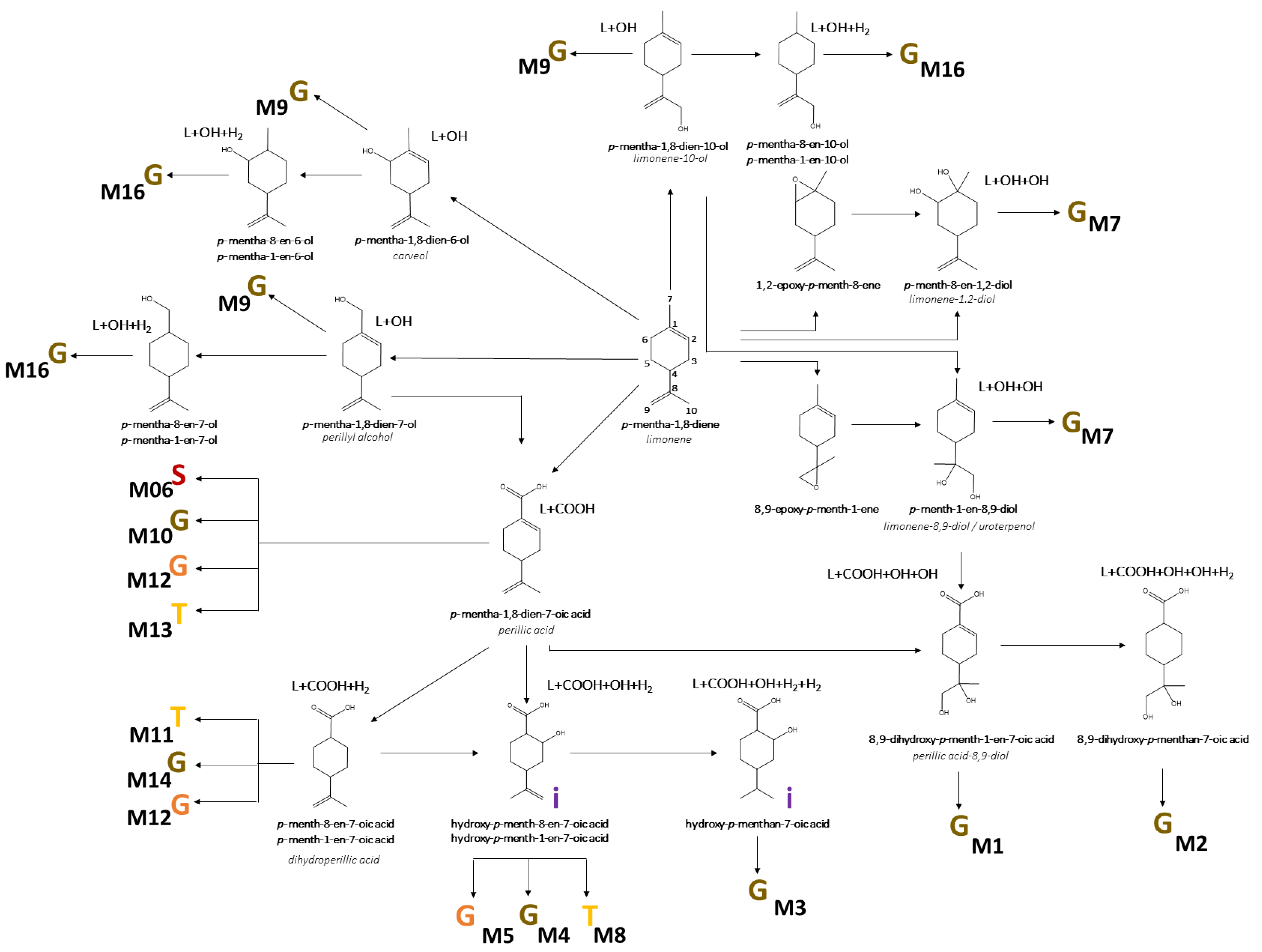 Identification of D-Limonene Metabolites by LC-HRMS: An Exploratory ...