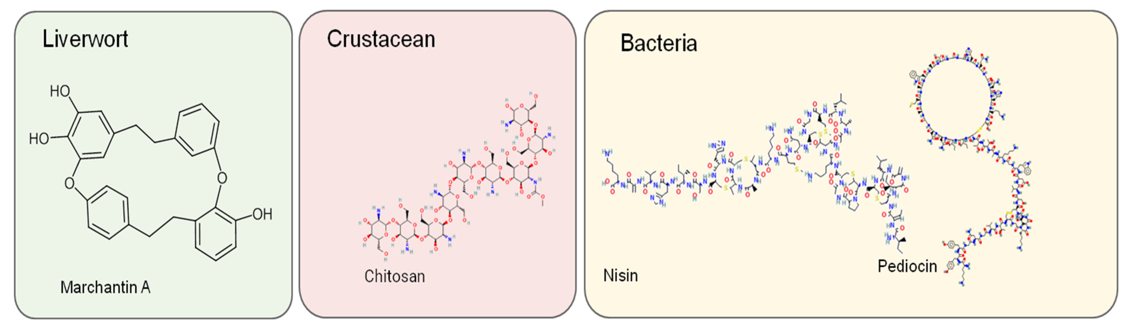 Interactions between Natural Products—A Review