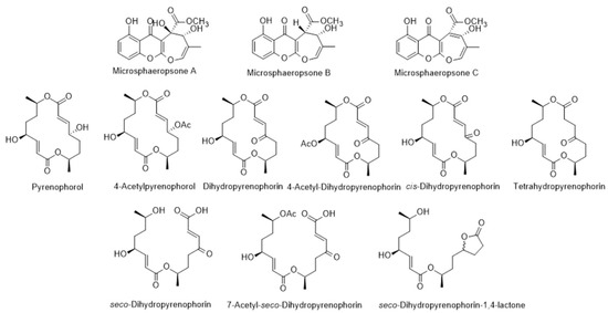 Chemical and Biological Properties of Three Poorly Studied Species of ...