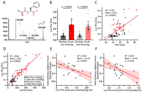 Exercise-Induced N-Lactoylphenylalanine Predicts Adipose Tissue Loss ...