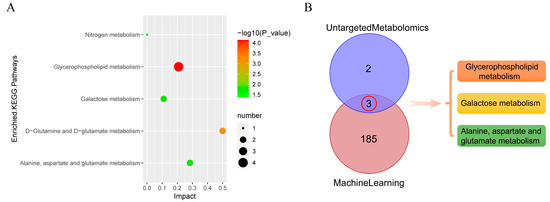 The Combination of Bioinformatics Analysis and Untargeted Metabolomics ...