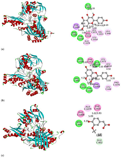 A Study of the Interaction between Xanthine Oxidase and Its Inhibitors ...