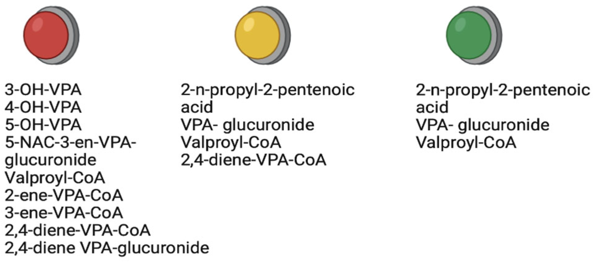 Therapeutic and Toxic Effects of Valproic Acid Metabolites