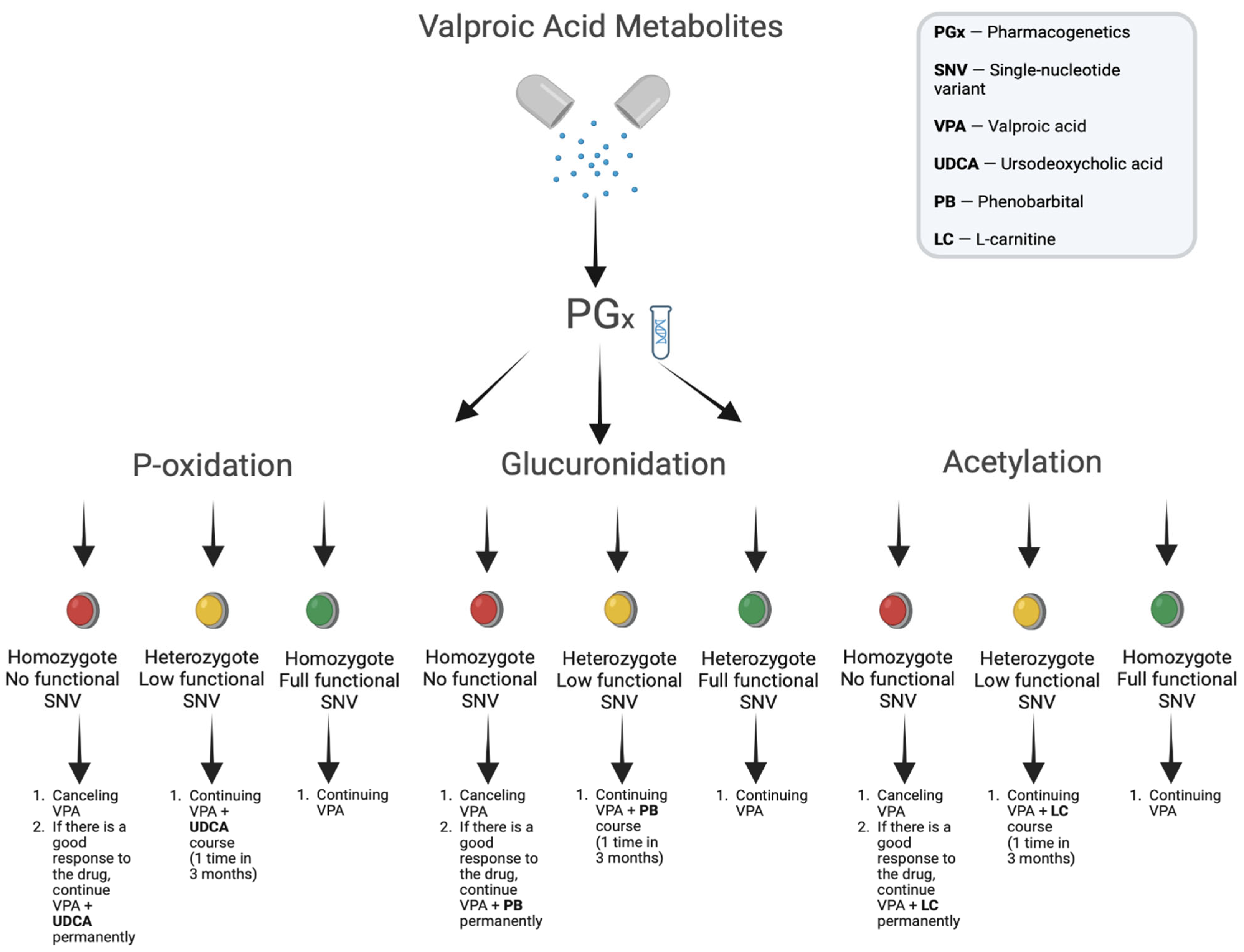 Therapeutic and Toxic Effects of Valproic Acid Metabolites
