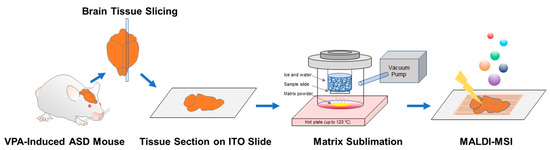 Investigation of Phospholipid Differences in Valproic Acid-Induced ...