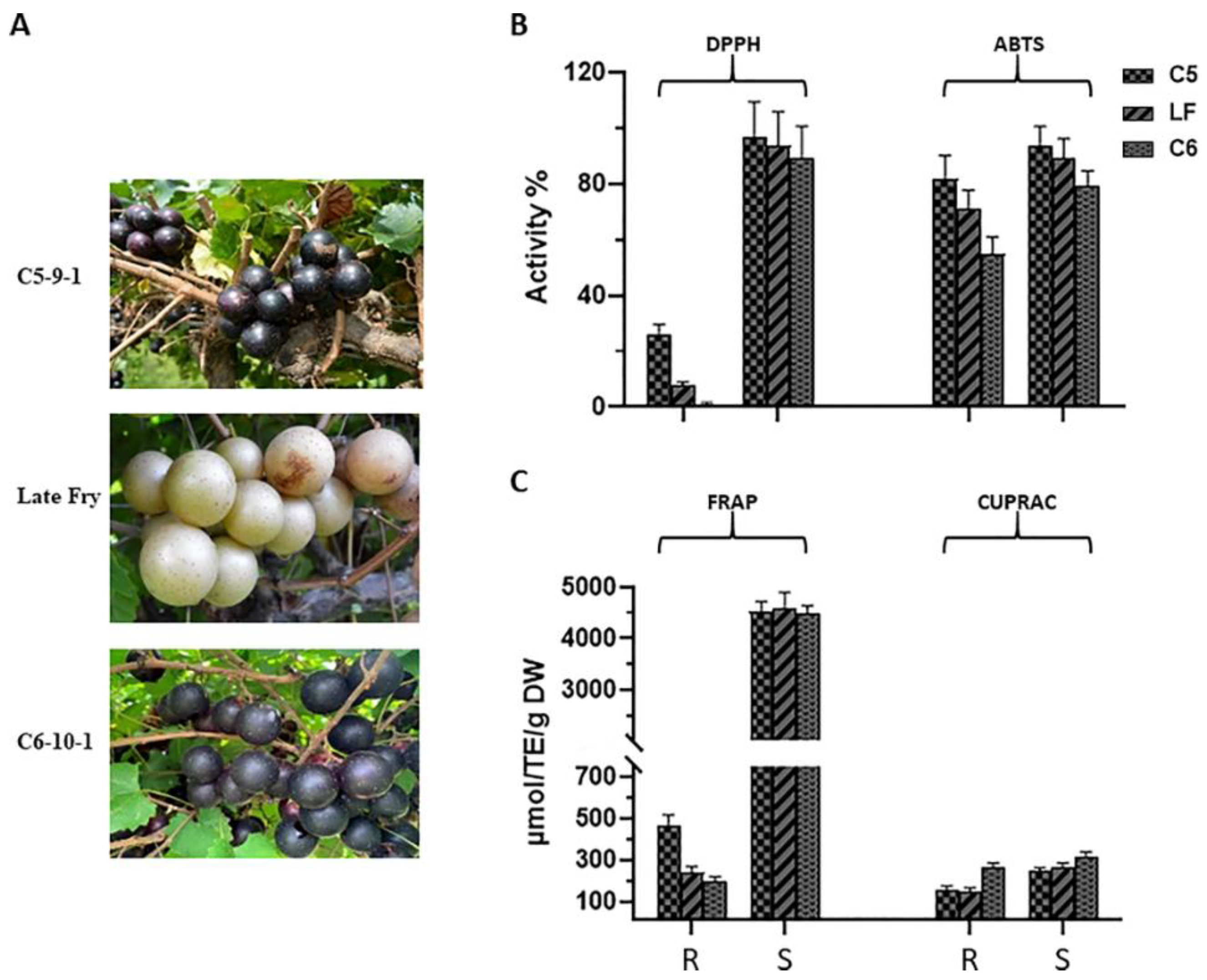 Integrating Metabolomics and Gene Expression Underlying Potential ...
