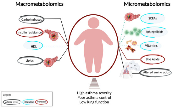 Metabolic Contributions to Pathobiology of Asthma