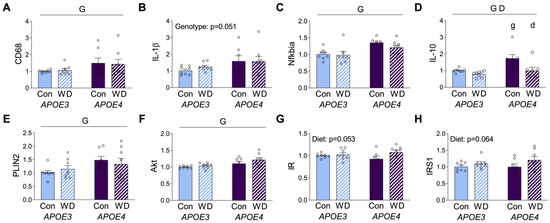 Effects of APOE Genotype and Western Diet on Metabolic Phenotypes in ...