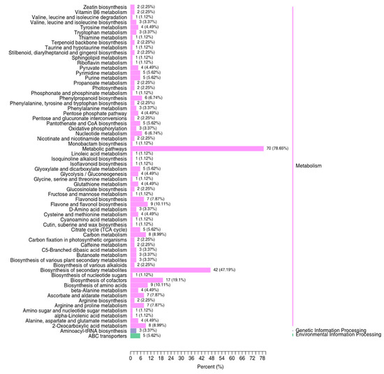 Widely Targeted Metabolomics Reveals Metabolite Diversity in Jalapeño ...