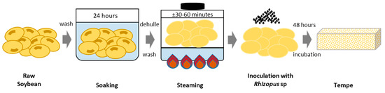 Metabolite Changes in Indonesian Tempe Production from Raw Soybeans to ...