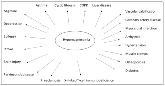 Hypomagnesemia as a Risk Factor and Accelerator for Vascular Aging in ...