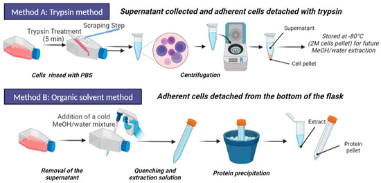 Development of an Untargeted Metabolomics Strategy to Study the Metabolic Rewiring of Dendritic ...
