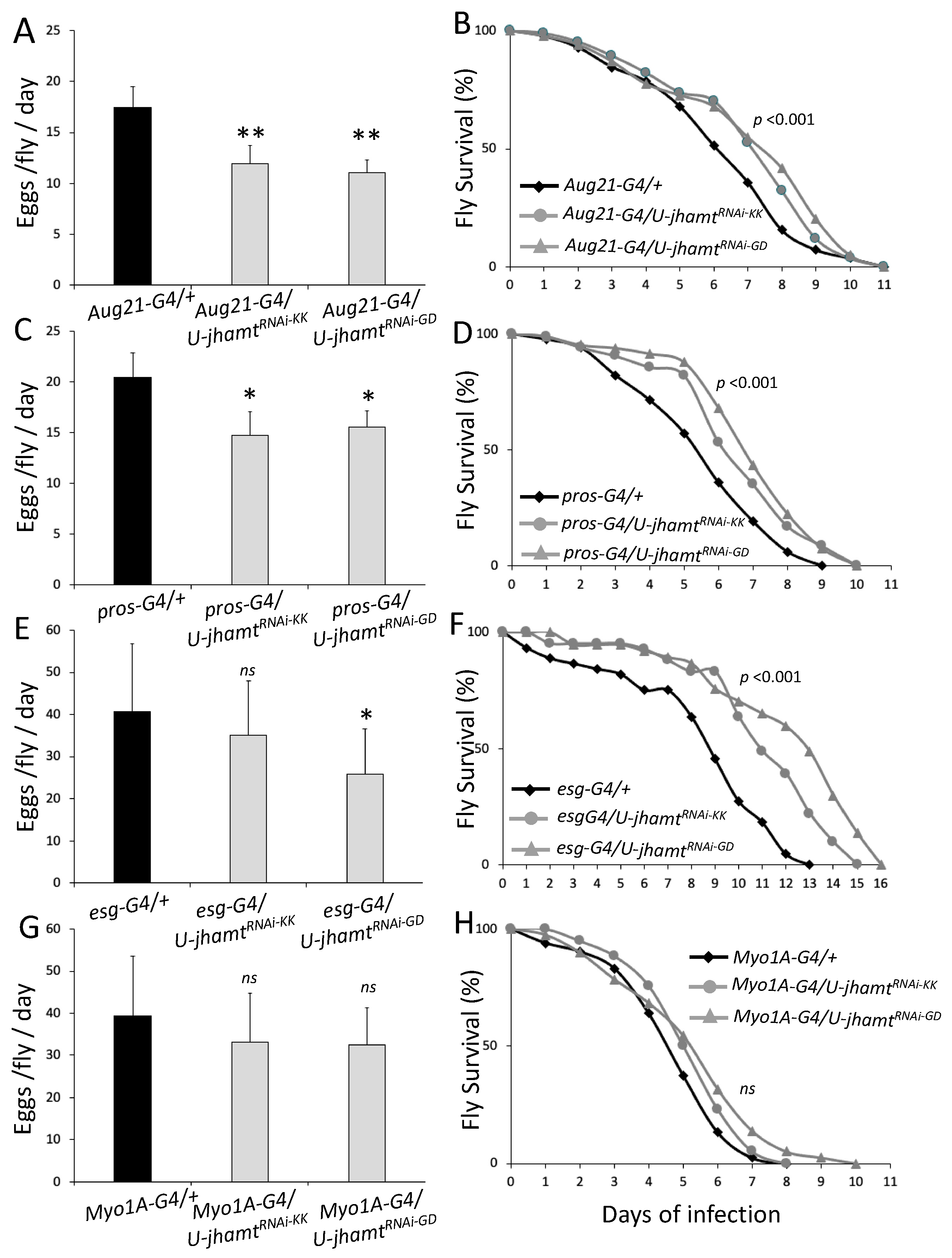 Metabolites | Free Full-Text | Intestinal Immune Deficiency and ...