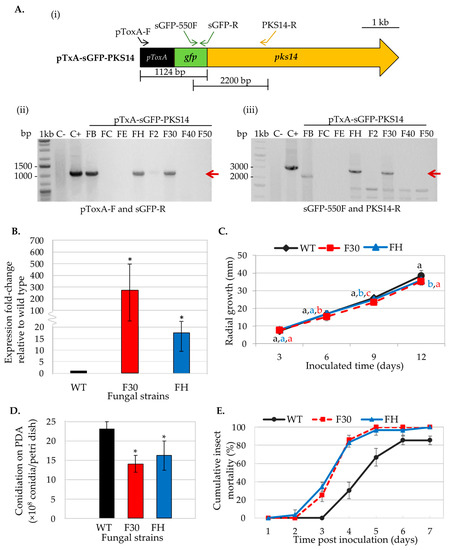 Metabolomic Analysis Demonstrates the Impacts of Polyketide Synthases ...